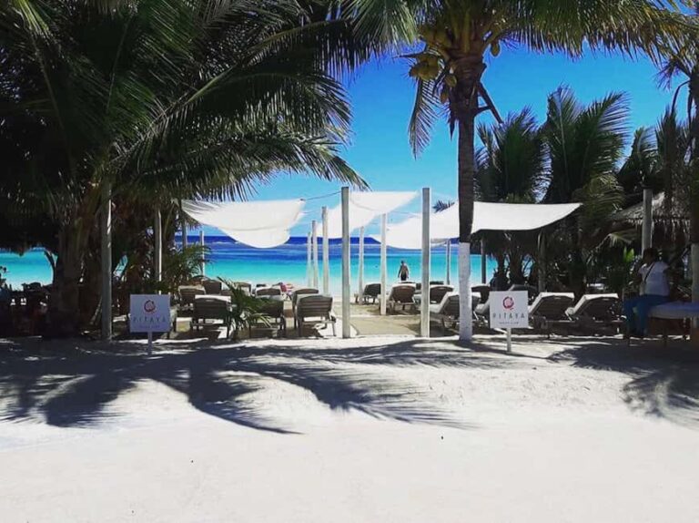 Costa Maya: Beach with Open Bar, Massage, Lunch & Snorkeling - The Open Bar: Refreshing and Wide-Ranging