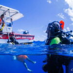 Costa Maya: Discover Scuba Diving Reef Experience - Detailed Breakdown of the Experience