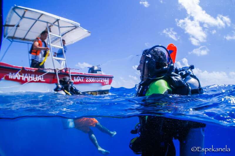 Costa Maya: Discover Scuba Diving Reef Experience - Detailed Breakdown of the Experience