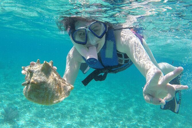 Costa Maya Snorkel Tour - Who Will Love This Tour?