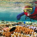 Costa Maya: Snorkeling Adventure by Boat with Photos - Who Will Love This Experience?