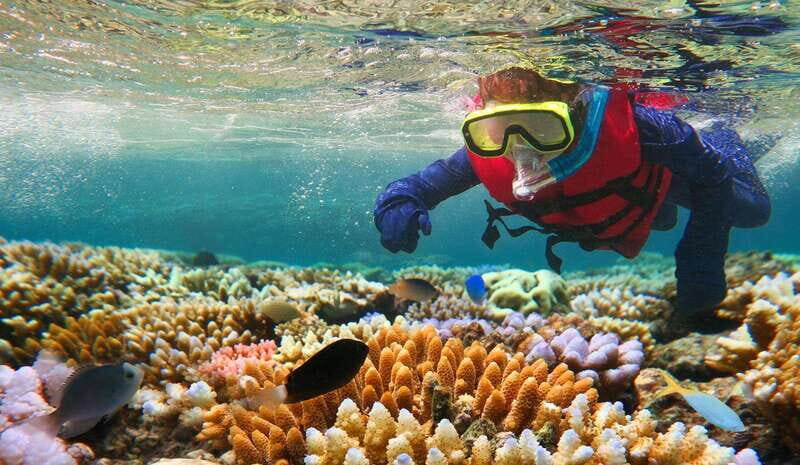 Costa Maya: Snorkeling Adventure by Boat with Photos - Who Will Love This Experience?