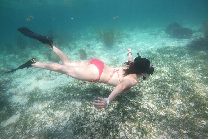 Costa Maya, snorkeling on the reef with fish, looking for turtles - Authentic Reviews: What Participants Say