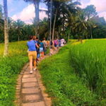 Countryside and Rice Fields Walking Guided Tour in Ubud - What to Expect at Each Stop — More Depth