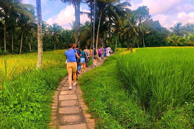 Countryside and Rice Fields Walking Guided Tour in Ubud - What to Expect at Each Stop — More Depth