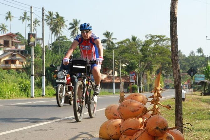 Countryside Cycling Tour in Colombo - A Closer Look: What the Tour Really Offers