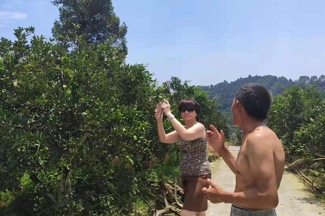 Countryside Trekking with lunch at farmers home and Huanglongxi Ancient Town - Detailed Breakdown of the Tour Experience