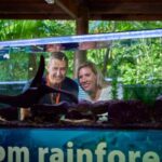 Cow Bay: Daintree Discovery Centre Entry Ticket - Authentic Experiences from Visitors