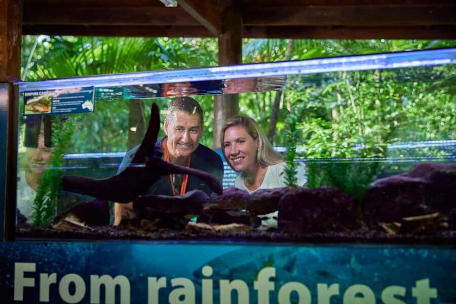 Cow Bay: Daintree Discovery Centre Entry Ticket - Authentic Experiences from Visitors