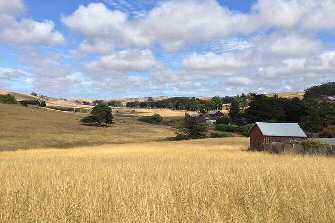 Cow Heaven: A Self-Guided Driving Tour from Point Reyes Seashore to Tomales - The Stops and What You Can Expect