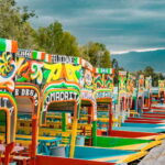 Coyoacán & Xochimilco: Discover an oasis in Mexico City - Exploring the Day in Detail