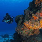Cozumel: 6 Days Yoga, Sound Healing, and Dive Retreat - Who Should Consider This Retreat?