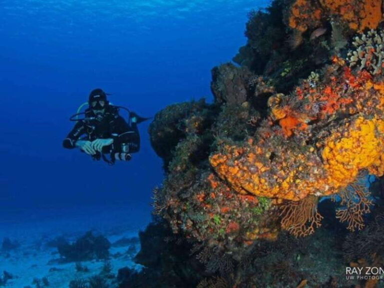 Cozumel: 6 Days Yoga, Sound Healing, and Dive Retreat - Who Should Consider This Retreat?