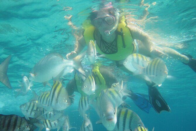 Cozumel Beach + Snorkeling Time - Practical Considerations for Travelers