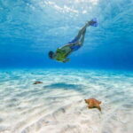 Cozumel: Catamaran, El Cielo Bay & Palancar Reef with Lunch - A Detailed Look at the Tour Experience