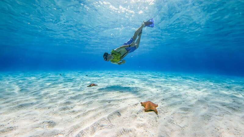 Cozumel: Catamaran, El Cielo Bay & Palancar Reef with Lunch - A Detailed Look at the Tour Experience