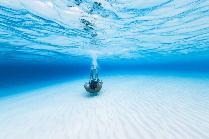 Cozumel Catamaran Snorkeling Tour & lunch® - Snorkeling in Cozumel: What You’ll Experience