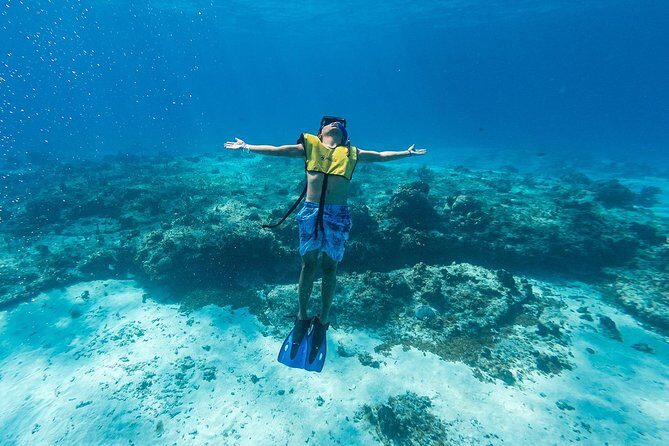 Cozumel Catamaran Snorkeling Tour & Lunch (Hotel Pick Up) - Will This Tour Suit You?