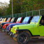 Cozumel: Classic Jeep or Buggy Island Tour to Punta Sur - Practical Aspects and Value