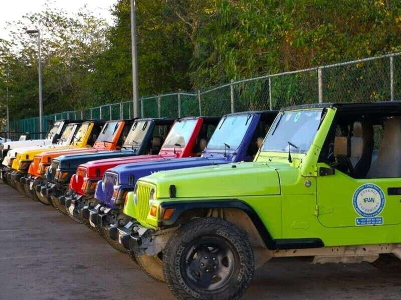 Cozumel: Classic Jeep or Buggy Island Tour to Punta Sur - Practical Aspects and Value