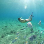 Cozumel: Clear Boat Ride and Snorkeling Trip - The Itinerary, in Detail
