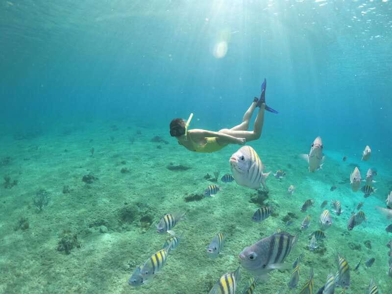 Cozumel: Clear Boat Ride and Snorkeling Trip - The Itinerary, in Detail