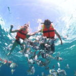 Cozumel: Clear Boat & Snorkel Tour - What To Expect from the Tour