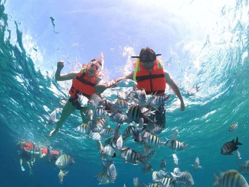 Cozumel: Clear Boat & Snorkel Tour - What To Expect from the Tour