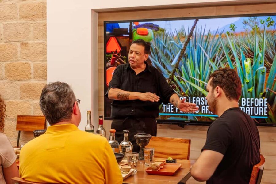 Cozumel: Degustación Maya Mezcal and Tequila - The Tasting Process