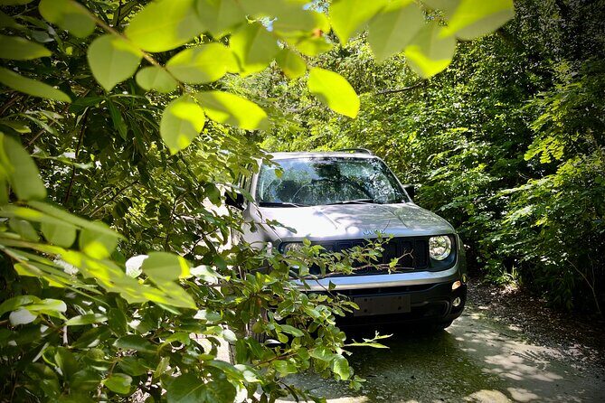 Cozumel: Discover Hidden Gems w/ Private guide - Summary: Who Should Consider This Tour?