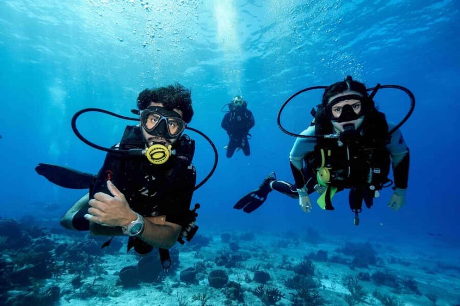 Cozumel: Discovery Scuba Diving. No experience required. - What Makes This Tour Stand Out?