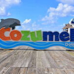 Cozumel: Dolphin Royal Swim and Manatee Interaction - The Authenticity and Value of the Experience