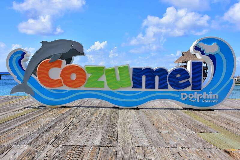 Cozumel: Dolphin Royal Swim and Manatee Interaction - The Authenticity and Value of the Experience