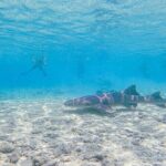 Cozumel Drive, Splash & Beach - In Practical Terms: The Price and Duration