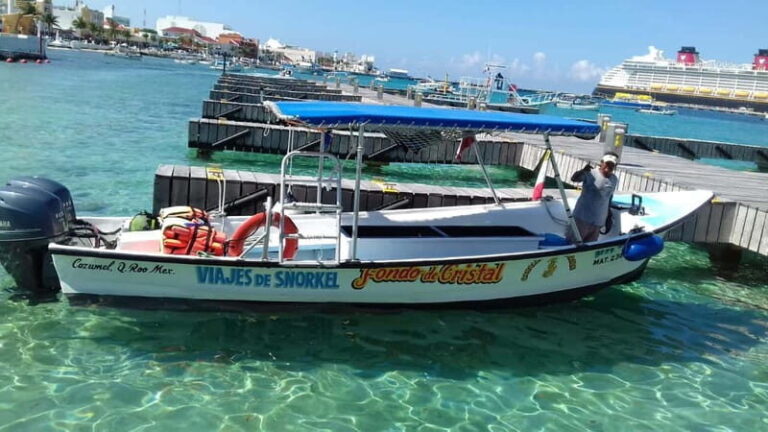 Cozumel: El Cielo & Palancar Snorkel with Open Bar & Ceviche - Why This Tour Stands Out