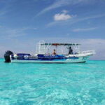 Cozumel El Cielo Sandbar and Reef Snorkeling Tour - The Reefs: Colombia and Palancar