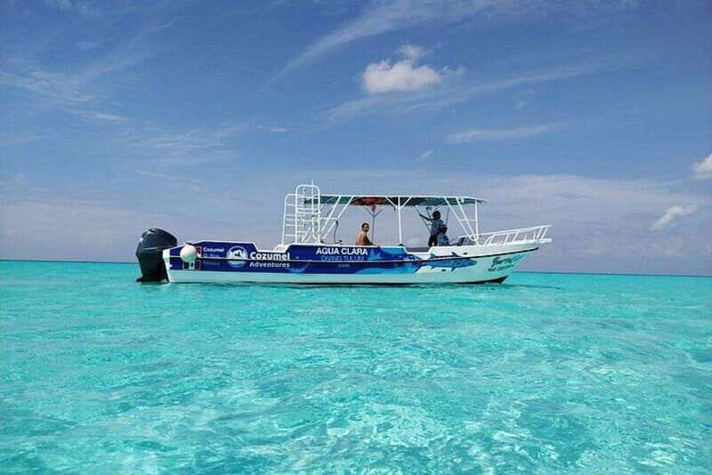 Cozumel El Cielo Sandbar and Reef Snorkeling Tour - The Reefs: Colombia and Palancar