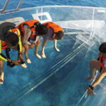 Cozumel Experience: ATV Wild Ride and Clear Boat Adventure - What Makes This Tour Stand Out?