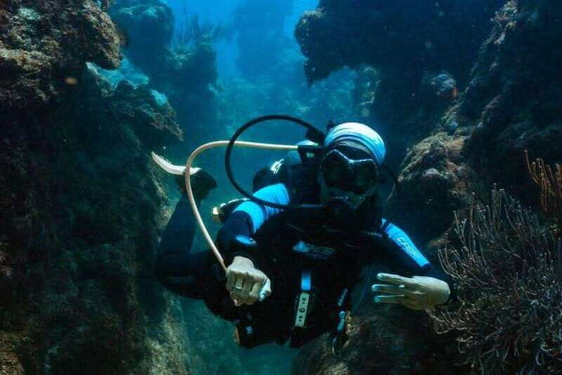 Cozumel: Fun Dive Adventure for Certificates - Detailed Itinerary Breakdown