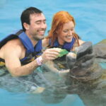 Cozumel: Manatee Encounter, Chankanaab Admission and Buffet - The Park and Amenities