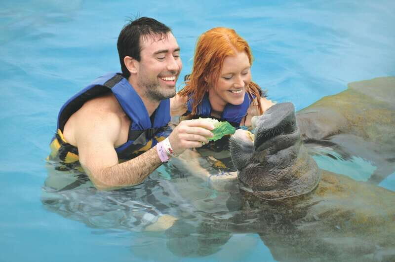 Cozumel: Manatee Encounter, Chankanaab Admission and Buffet - The Park and Amenities