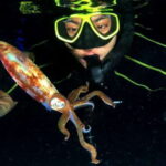 Cozumel: Night Snorkel Adventure - The Practicalities
