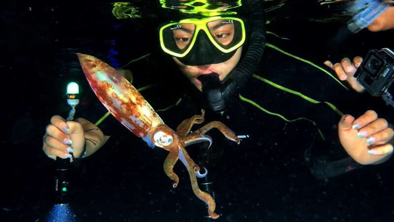 Cozumel: Night Snorkel Adventure - The Practicalities
