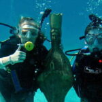 Cozumel: One Tank Scuba Dive and Full Chankanaab Park Access - What to Expect From the Tour