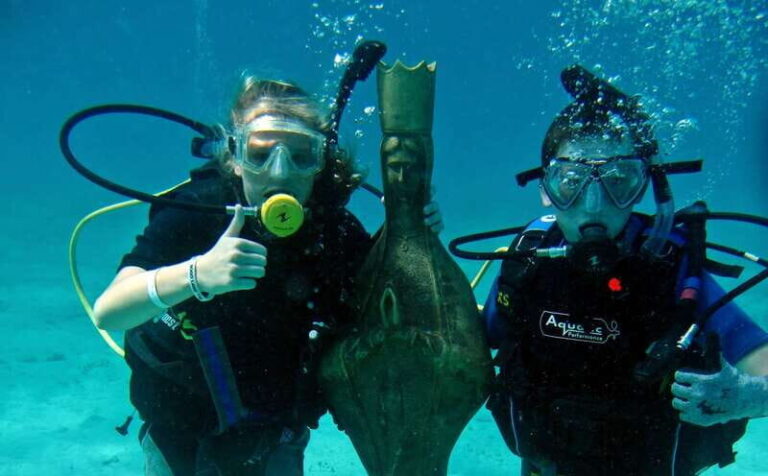 Cozumel: One Tank Scuba Dive and Full Chankanaab Park Access - What to Expect From the Tour
