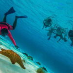 Cozumel: Palancar, Columbia and Cielo Reefs Snorkeling Tour - What Makes Each Stop Special
