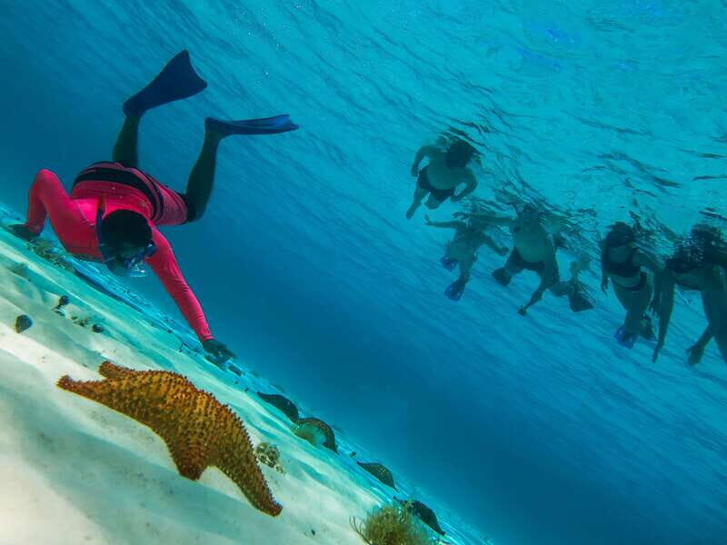 Cozumel: Palancar, Columbia and Cielo Reefs Snorkeling Tour - What Makes Each Stop Special