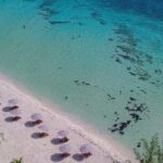 Cozumel Playa Palancar VIP All Inclusive Day Pass - What to Expect During Your Day