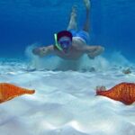 Cozumel Private 4-hour Boat Tour to El Cielo with Snorkeling - FAQ