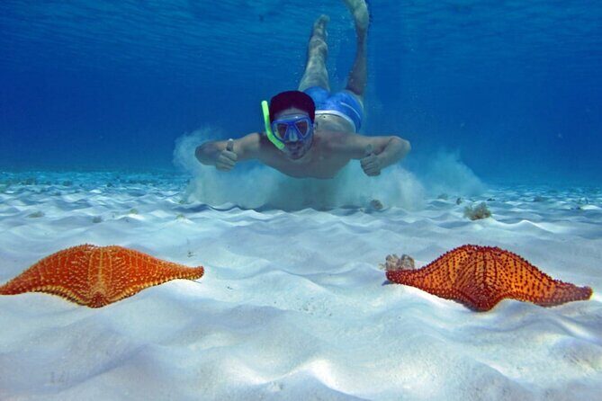 Cozumel Private 4-hour Boat Tour to El Cielo with Snorkeling - FAQ